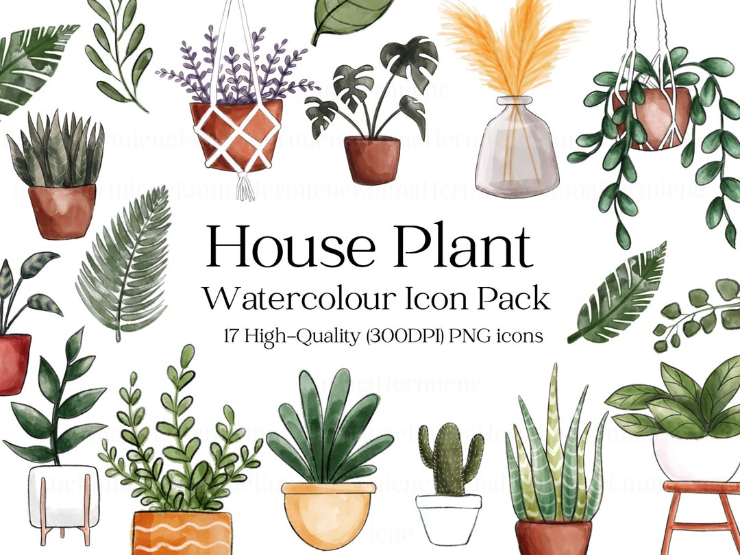 Watercolour House Plant Icon Pack | Hand-drawn, Botanical Icons | Plant ...