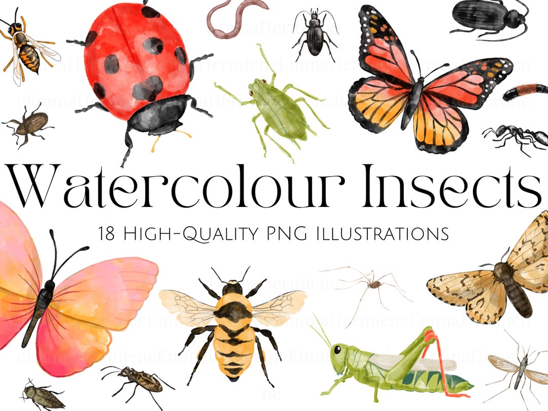 Watercolour Insects Icons Bundle | Hand-drawn Bug Icons, Minimalist ...