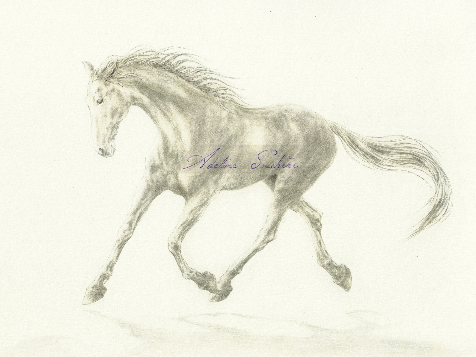Horse "allure" - Etsy