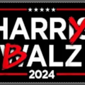 Harry Ballz Sign - Etsy