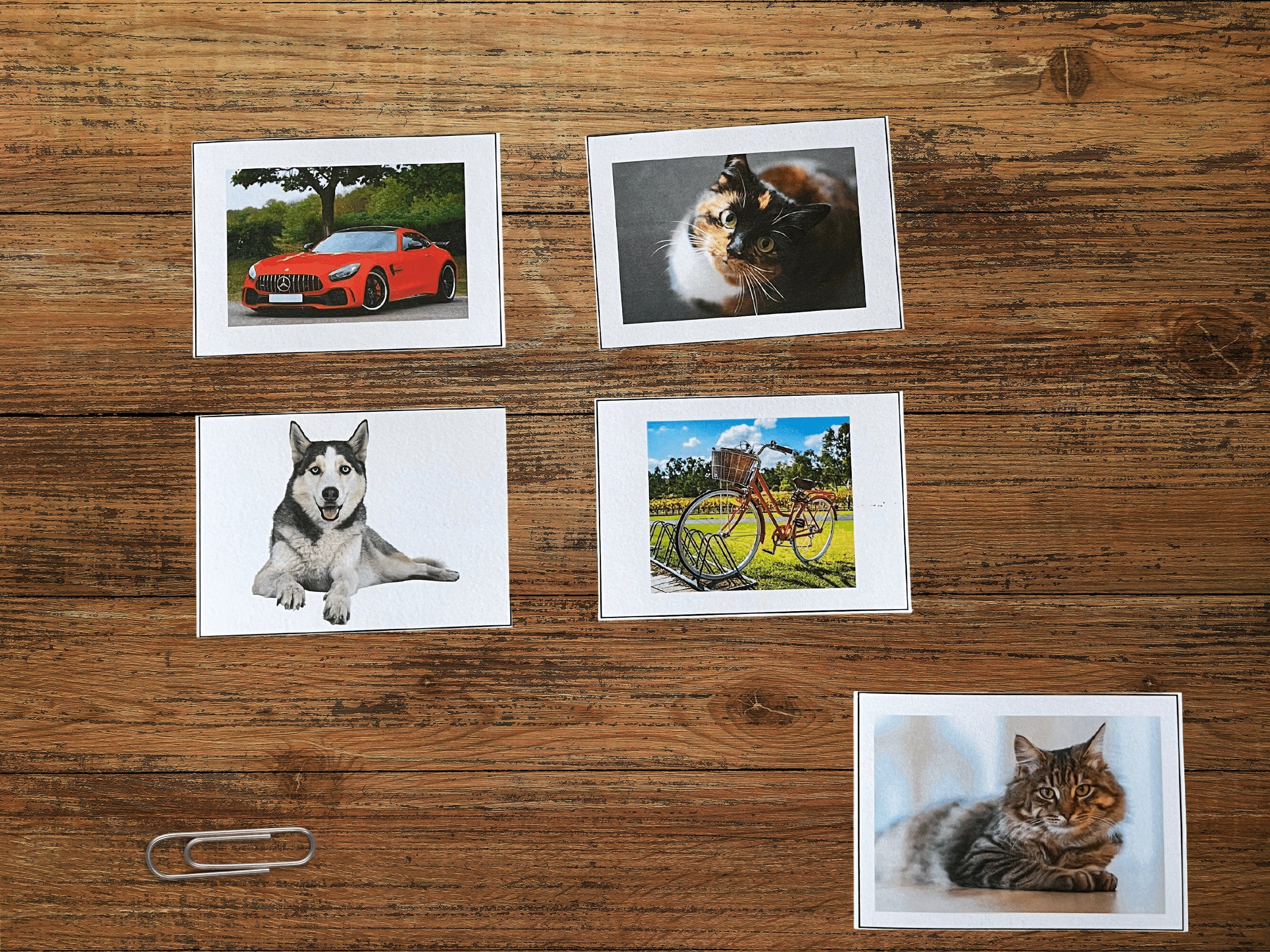 Digital ABA Therapy Material Cards for Match to Sample Non-identical ...