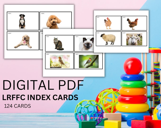 200 Matching Cards Identical and Non-identical VB-MAPP Stimuli - Etsy