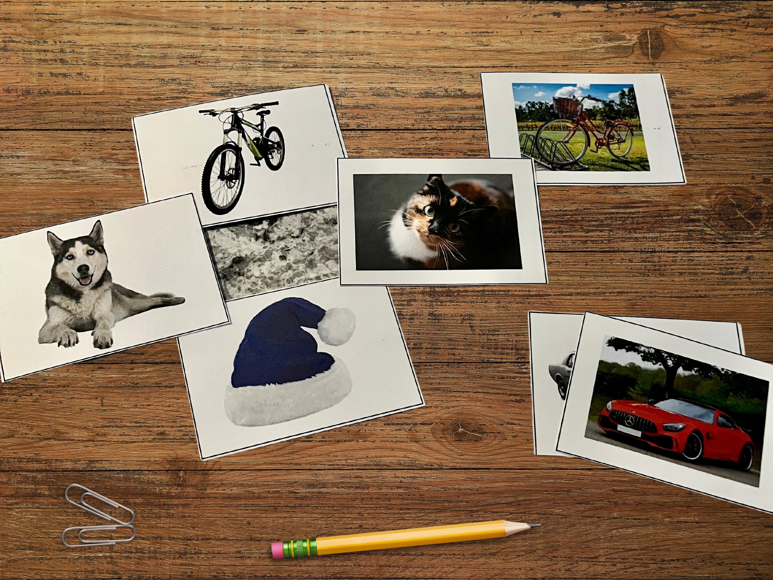 Digital ABA Therapy Material Cards for Match to Sample Non-identical ...