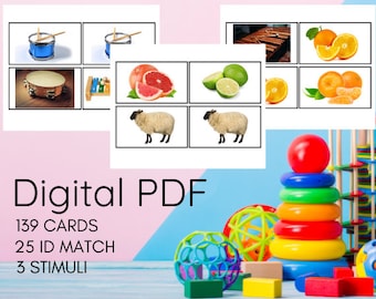 Digital ABA Therapy Material Cards for Tacting Level 1 and 2 Milestones ...