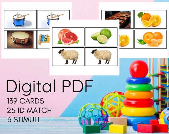 Digital ABA Therapy Material Cards for Match to Sample Level 2.8 | VB ...