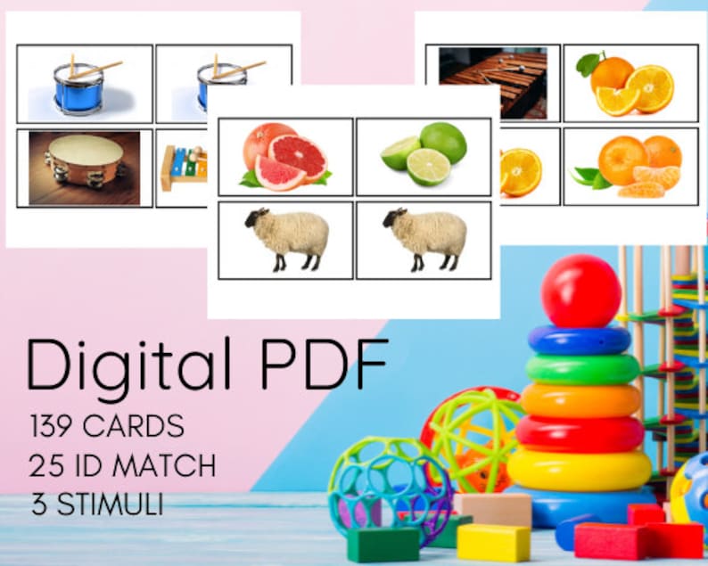 Digital ABA Therapy Material Cards for Match to Sample Level 2.8 | VB ...