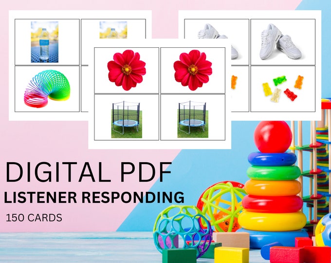 500 VB-MAPP Flash Cards Common Items List - Etsy