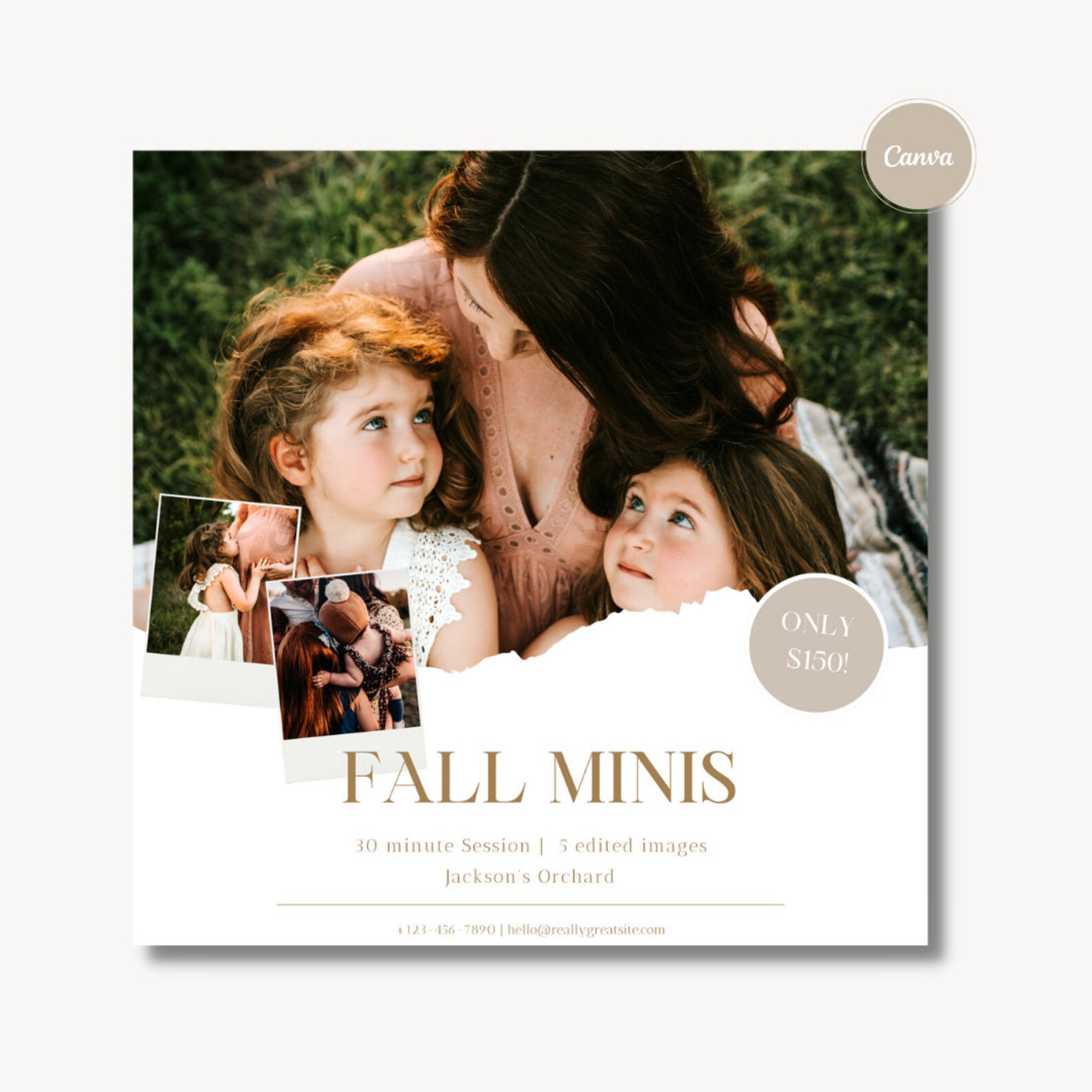 Fall Mini Session Template, Canva Template, Fall Template, Mini Session ...