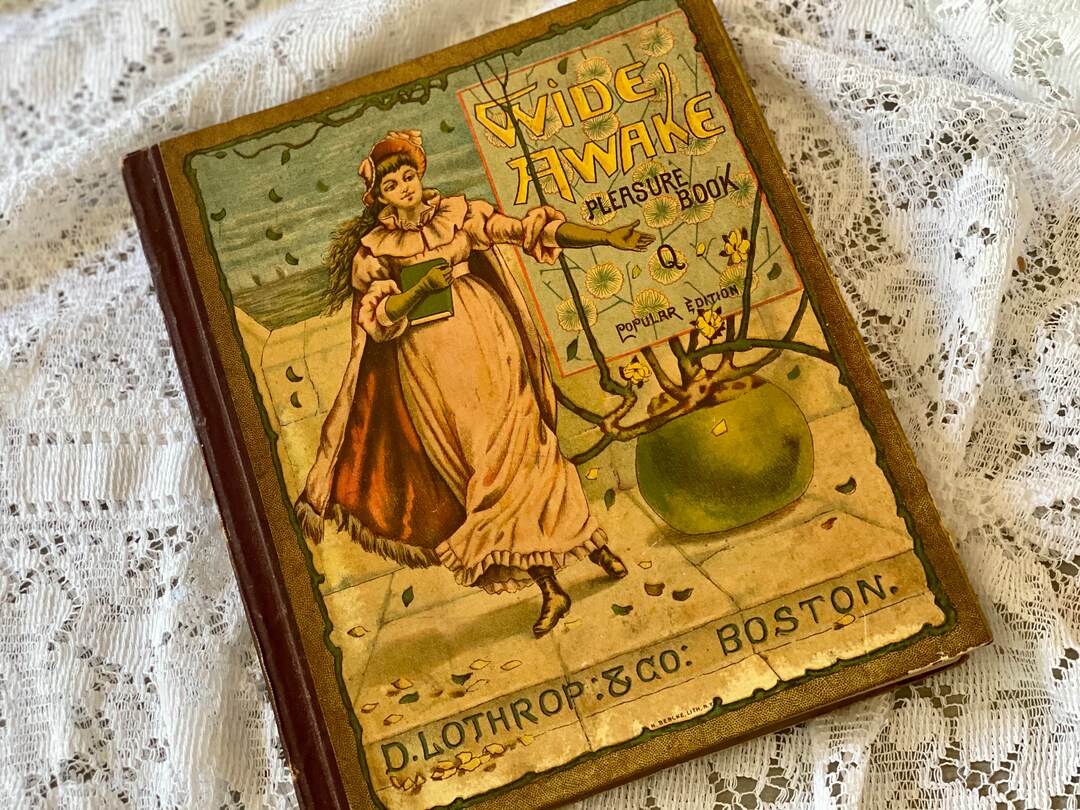 1883 Wide Awake Pleasure Book Q Popular Edition With Dated Christmas ...
