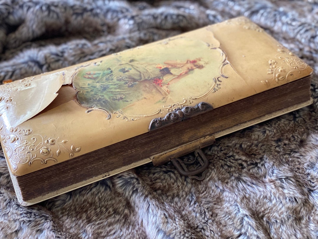 Victorian Photo Album Celluloid Cover/1800s Picture Album/no Photos ...