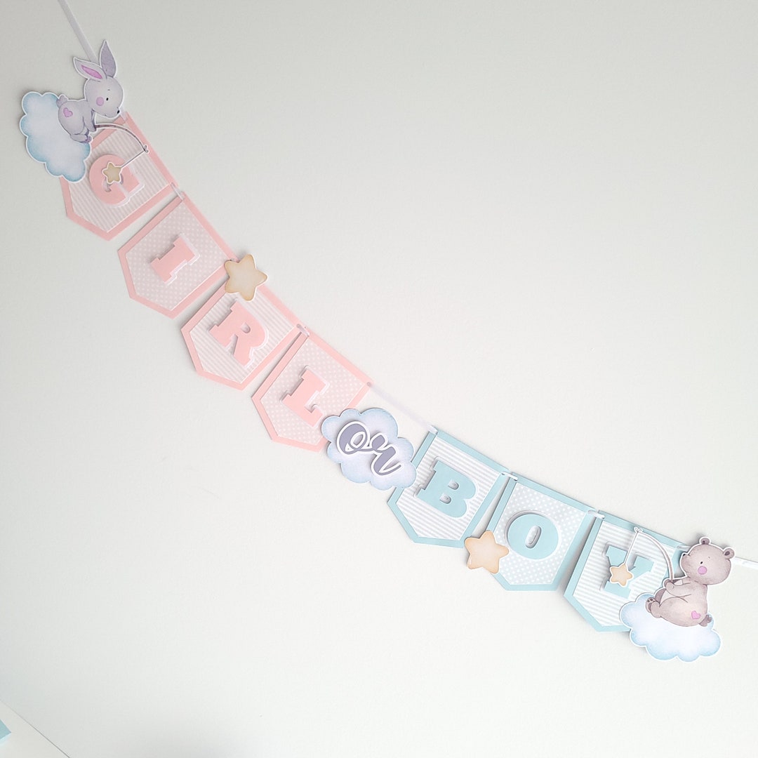 Gender Reveal Banner, Gender Reveal Party Decorations, Gender Reveal ...