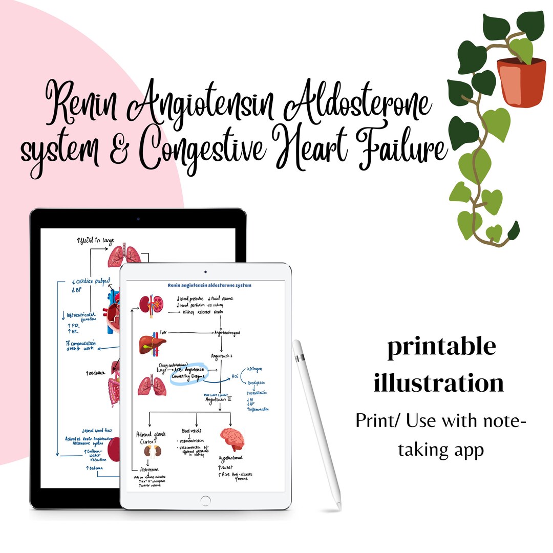 Cardiovascular Pharmacology Printable Illustration Summary - Etsy