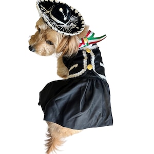 Mariachi Dog Costume With Sombrero, Cinco De Mayo Outfit - Etsy