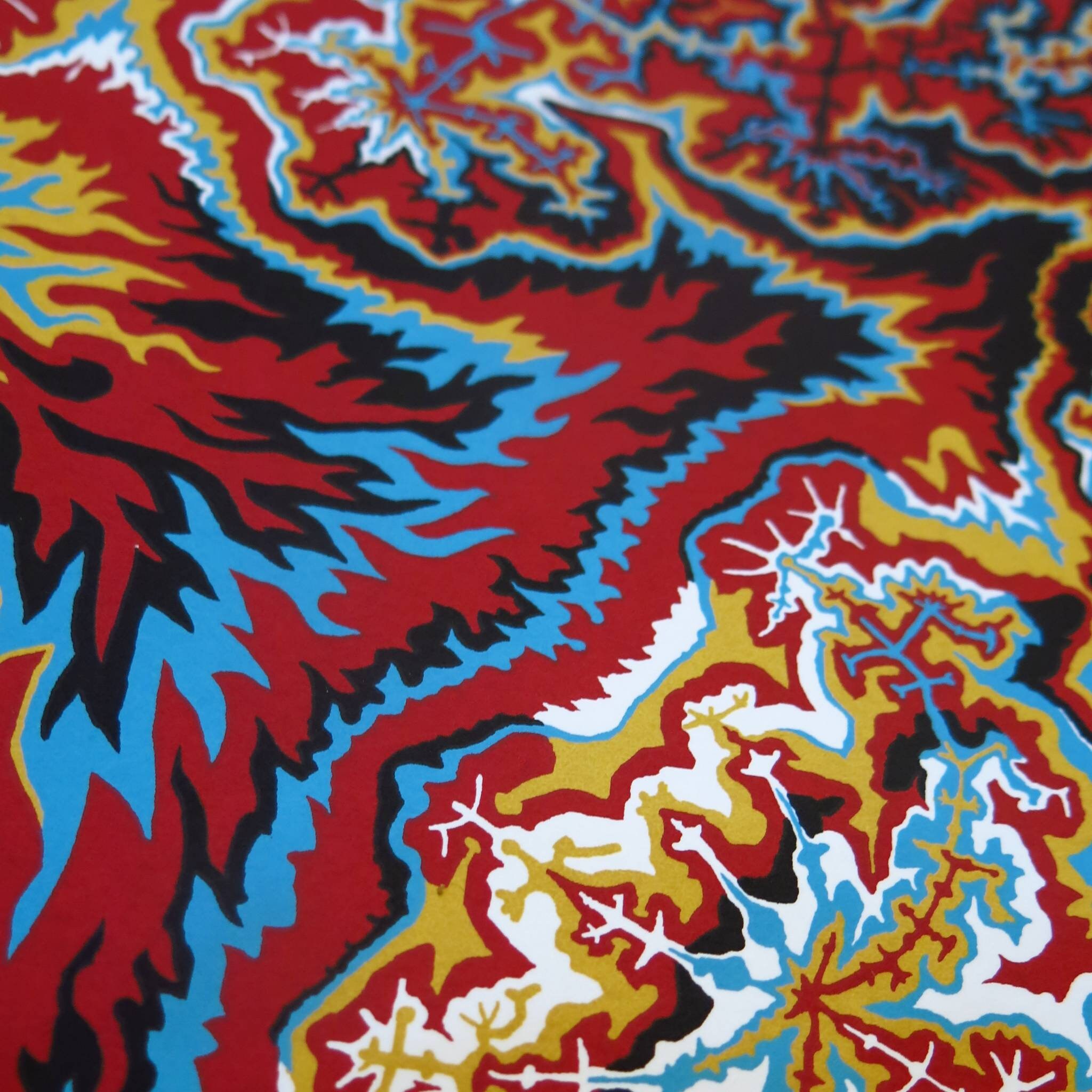 Seeing Both at Once - Limited Edition Screenprint by Bill Tavis - Etsy