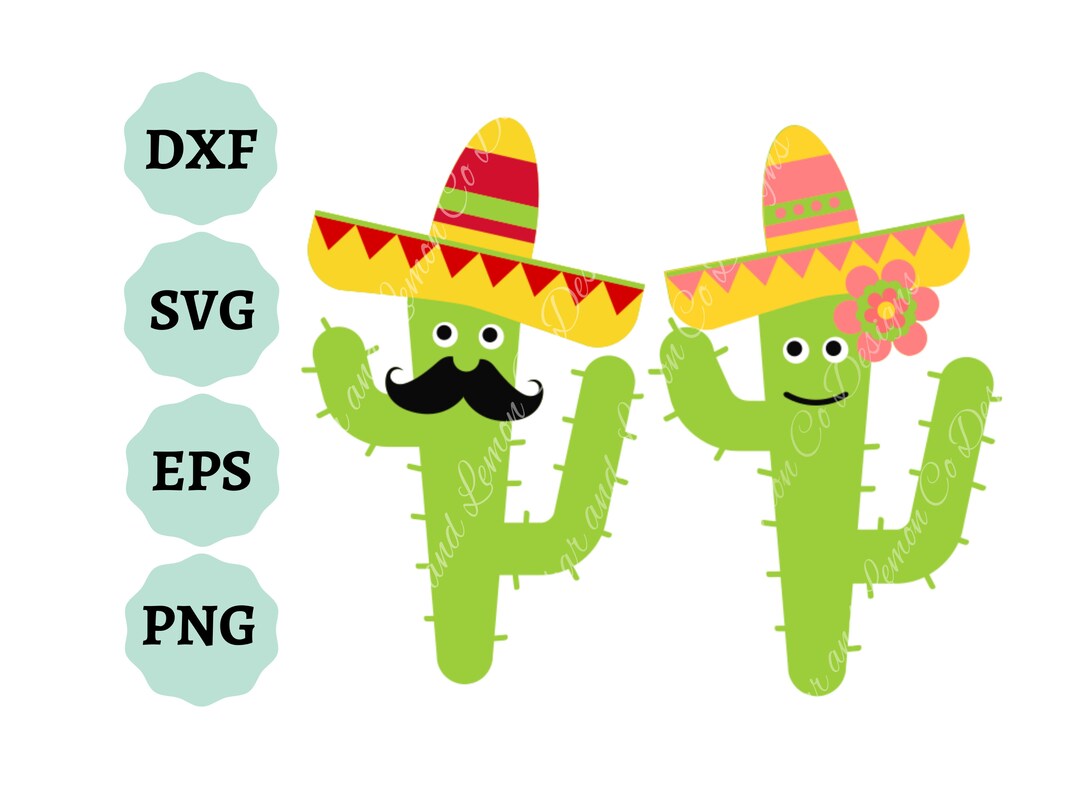 Cactus SVG Bundle, Cactus Monogram SVG, Cricut, Cut File, Silhouette ...