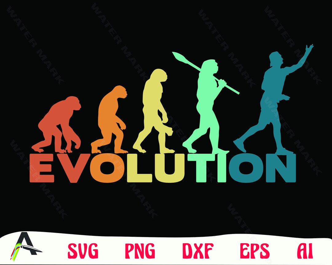 Cornhole Svg Files - Funny Cornhole Evolution Cornhole Clipart Digital ...