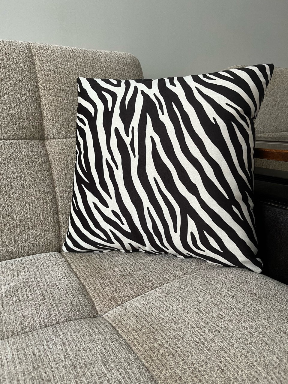 Zebra Print Velvet Pillow Cover White and Black Throw Pillows - Etsy