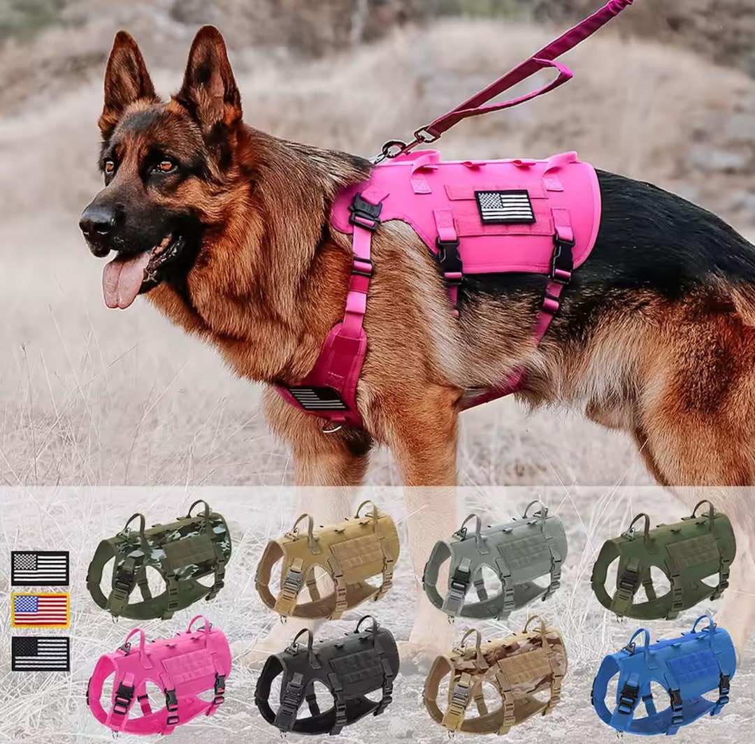 Personalized Tactical Dog Harness | Custom Name Number No Pull Vest - Etsy