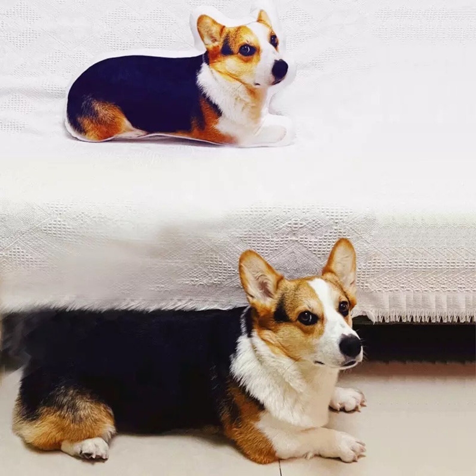 Custom Pet Photo Cushion | Personalized Dog Cat Picture Cushion - Etsy ...