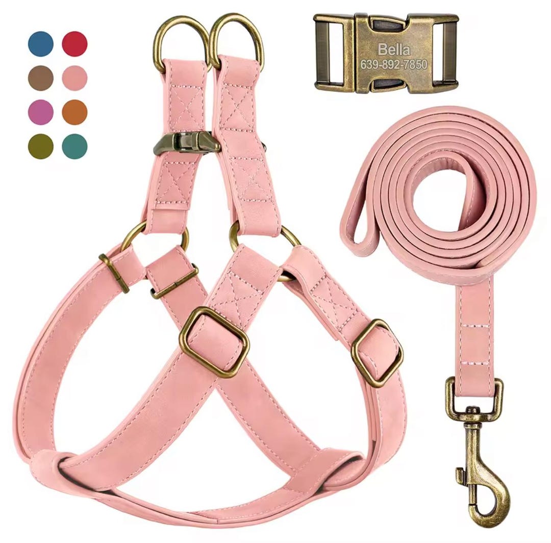 Personalized Leather Dog Harness | Custom Name & Number Chest Strap - Etsy