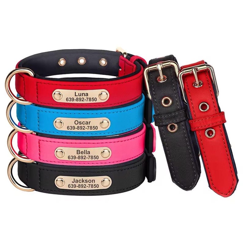 Personalized Waterproof Soft Padded Dog Collar | Custom Name ID Collar ...