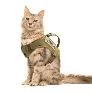 Personalized Tactical Vest for Cats & Small Dogs Puppies | Custom Name ...
