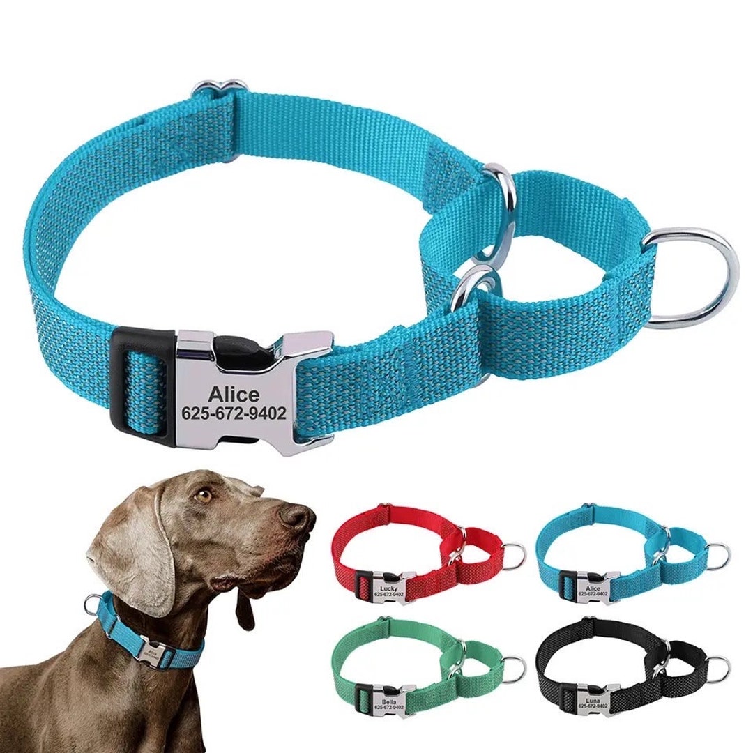 Personalized Reflective Web Name & Number Collar | Custom Pet ID Collar ...
