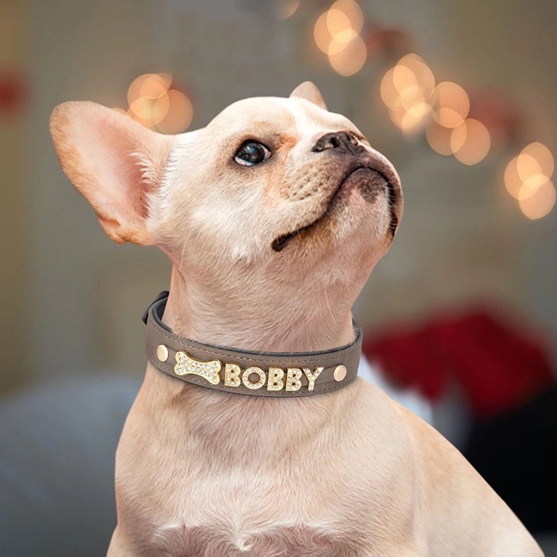 Personalized Leather Crystal Dog ID Collar | Custom Name Pet Collar - Etsy