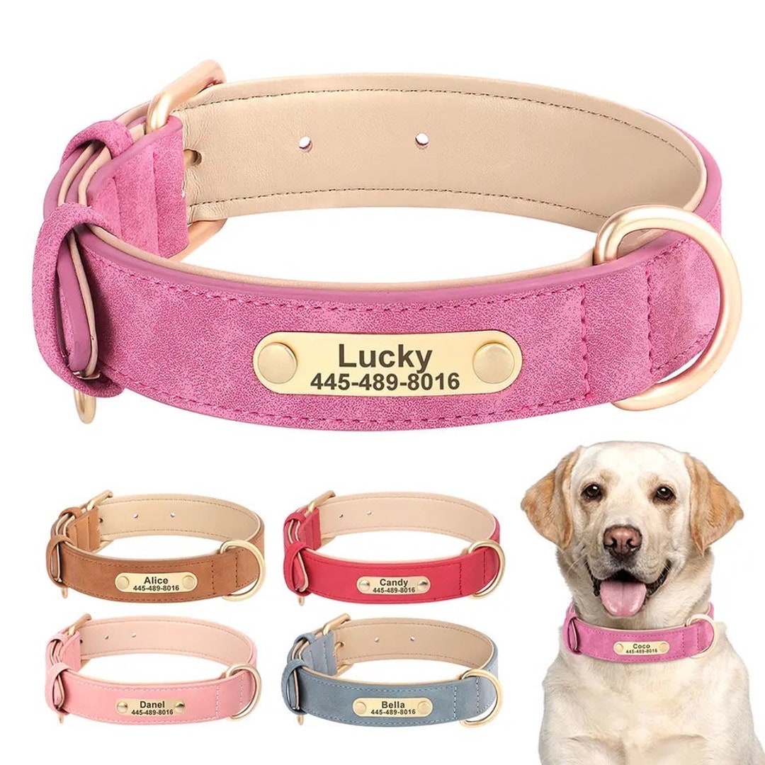 Personalized Soft Padded PU Leather Dog ID Collar | Custom Name ...