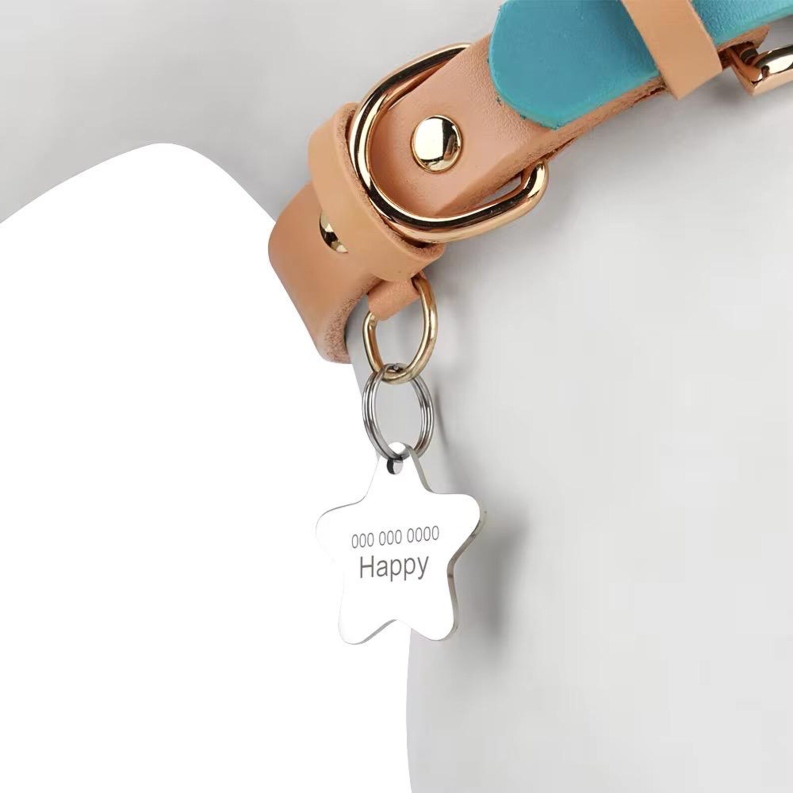 Personalized Star Pet ID Tag | Custom Engraved Collar Charm - Etsy