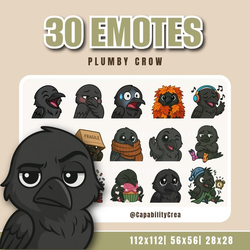 Bird Youtube Videos - Etsy