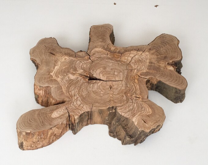 Live Edge Wood Slab | Raw Edge Wood Slab | Olive Wood Slab | Live Edge ...