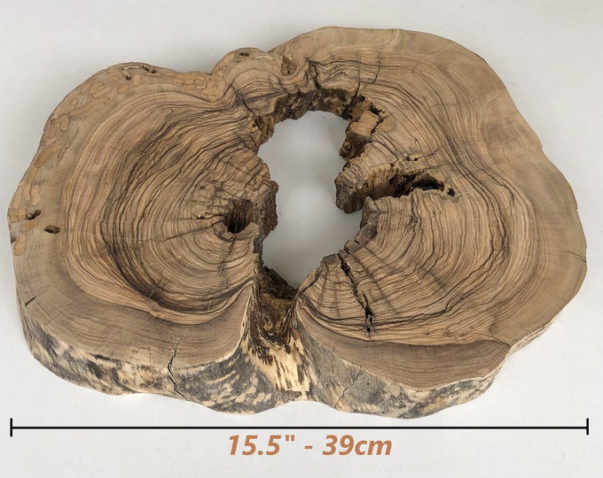 Live Edge Wood Slab | Raw Edge Wood Slab | 15.5" Live Edge Olive Wood ...