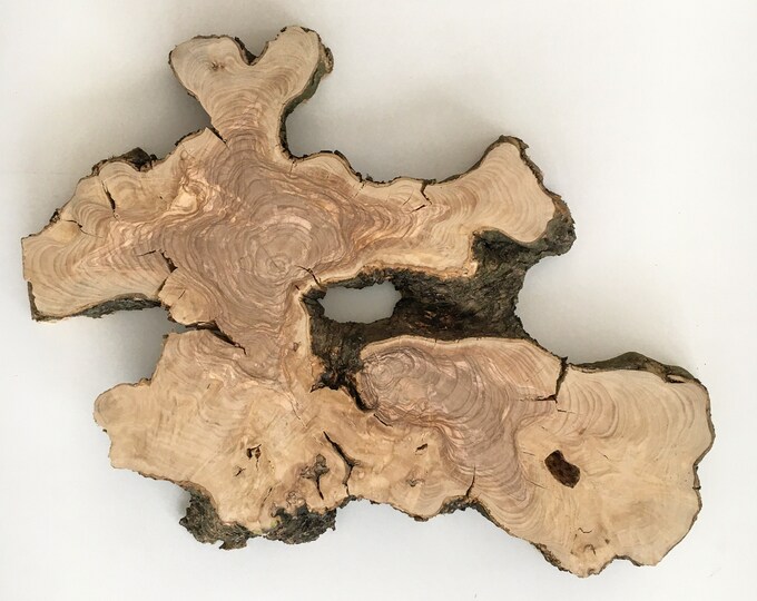 Live Edge Wood Slab | Raw Edge Wood Slab | Live Edge Slab Unfinished ...