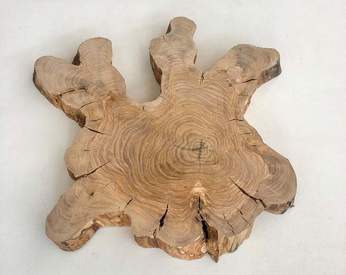 Live Edge Wood Slab | Raw Edge Wood Slab | 14" Live Edge Olive Wood ...