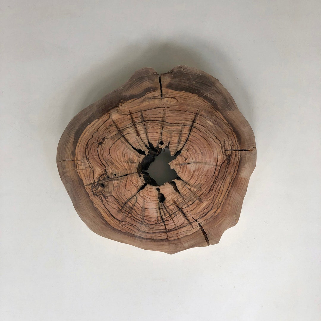 Live Edge Wood Slab 12 Raw Edge Wood Slab Live Edge - Etsy