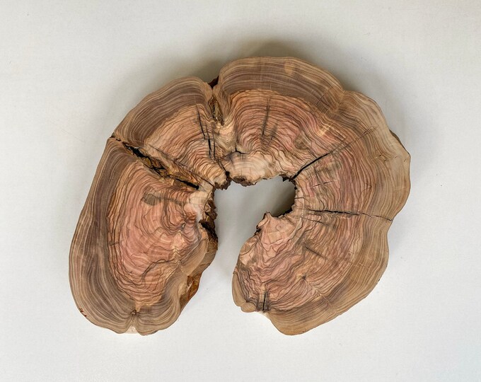 Live Edge Wood Slab | Raw Edge Wood Slab | 14,5" Live Edge Olive Wood ...