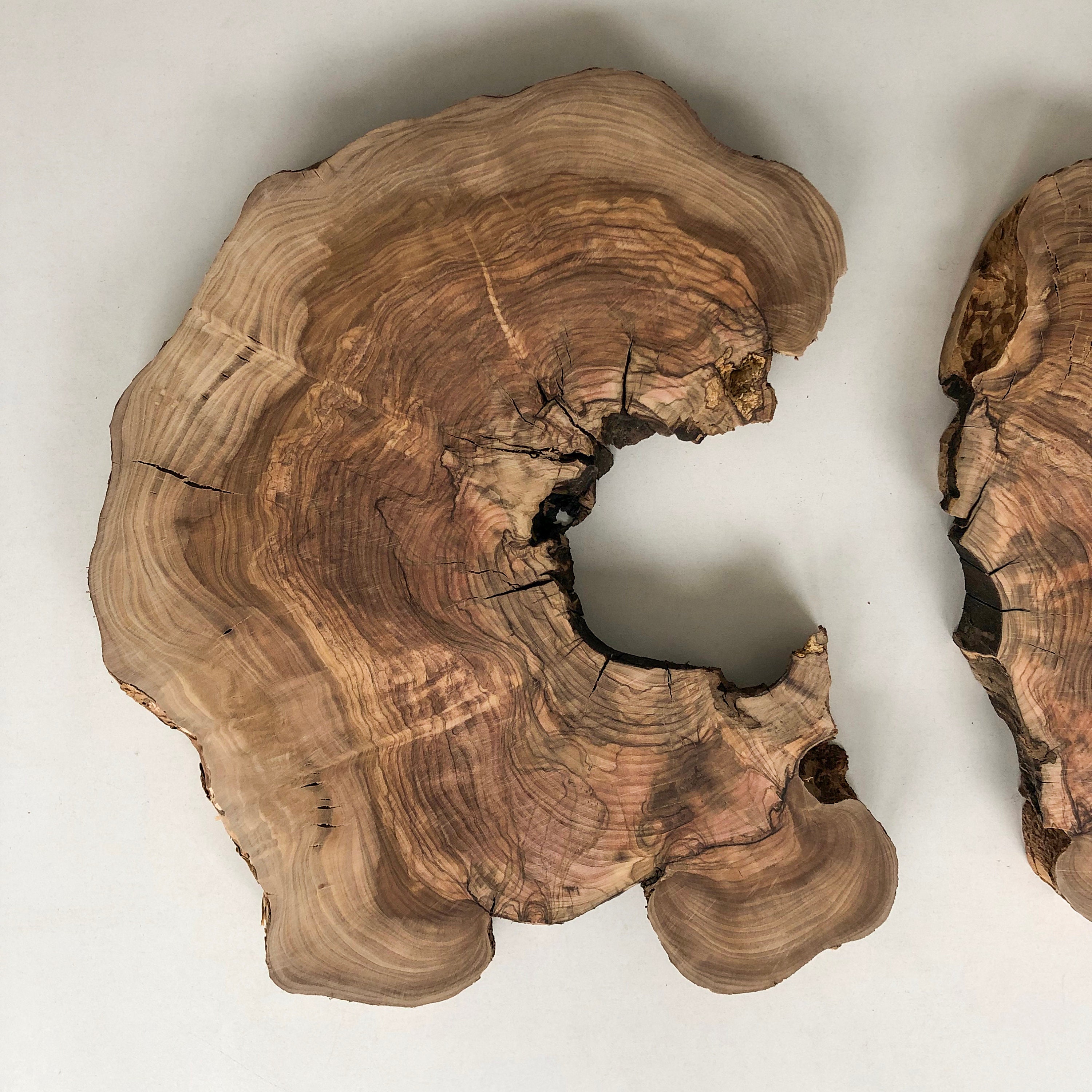 Live Edge Wood Slab Raw Edge Wood Slab 22 Live Edge - Etsy