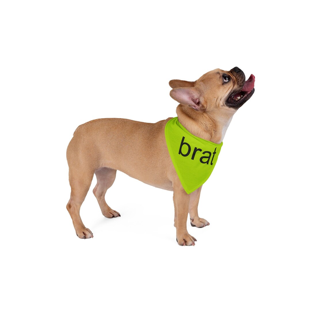 Brat Summer Dog Bandana, Brat Charli XCX Dog Scarf, Brat Pet Scarf ...