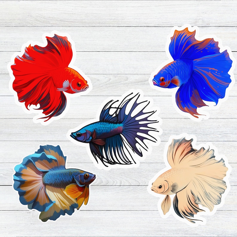 Die-cut Sticker Pack of Betta Fish, Dumbo Ear, Crown Tail, Red, Blue ...