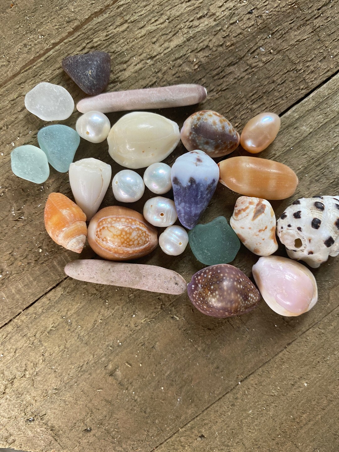 Assorted Set of Hawaii Sea Shells Sea Glass - Etsy