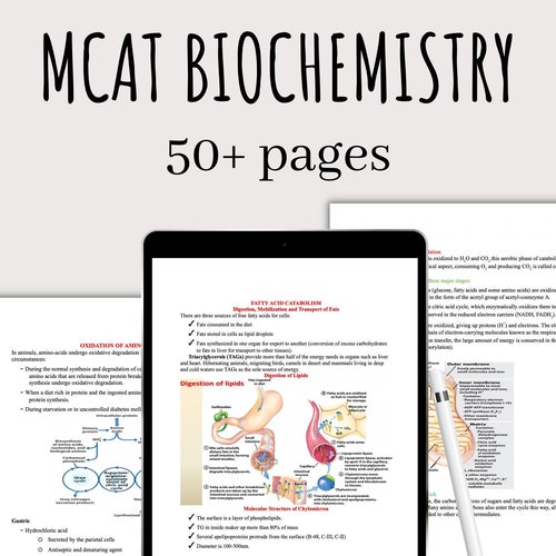 MCAT Comprehensive Biochemistry Metabolic Pathway Study Guide - Etsy
