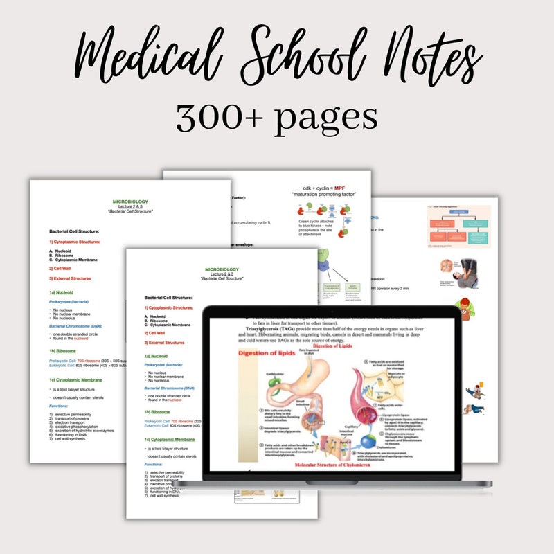 School Note - Etsy