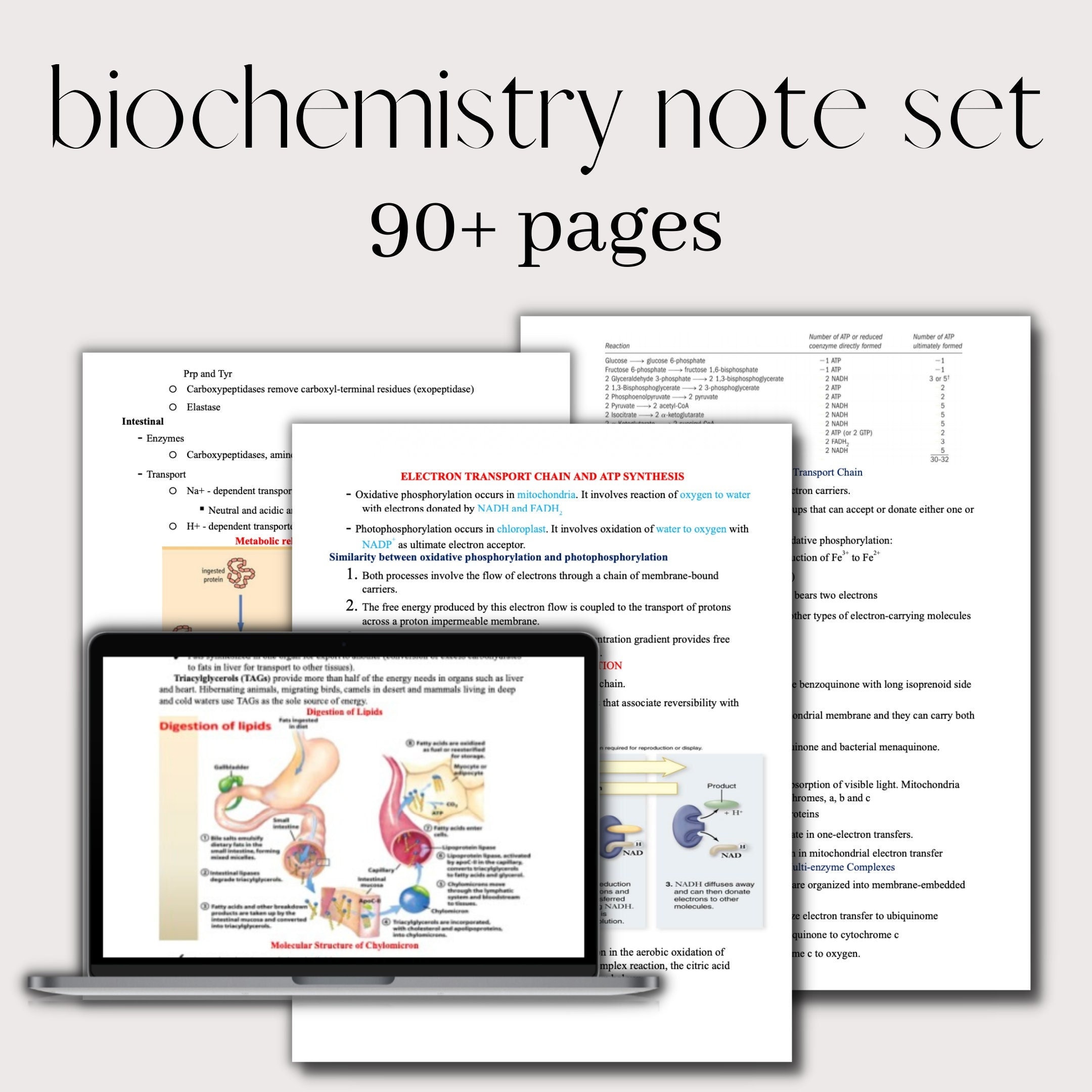 BIOCHEMISTRY NOTE SET - Etsy