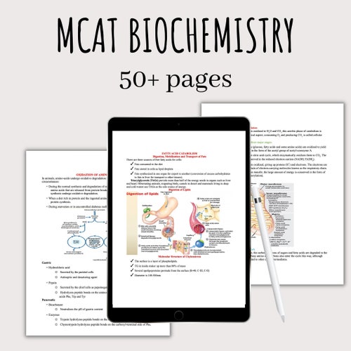 MCAT Comprehensive Biochemistry Metabolic Pathway Study Guide - Etsy MCAT Comprehensive Biochemistry Metabolic Pathway Study Guide - Etsy