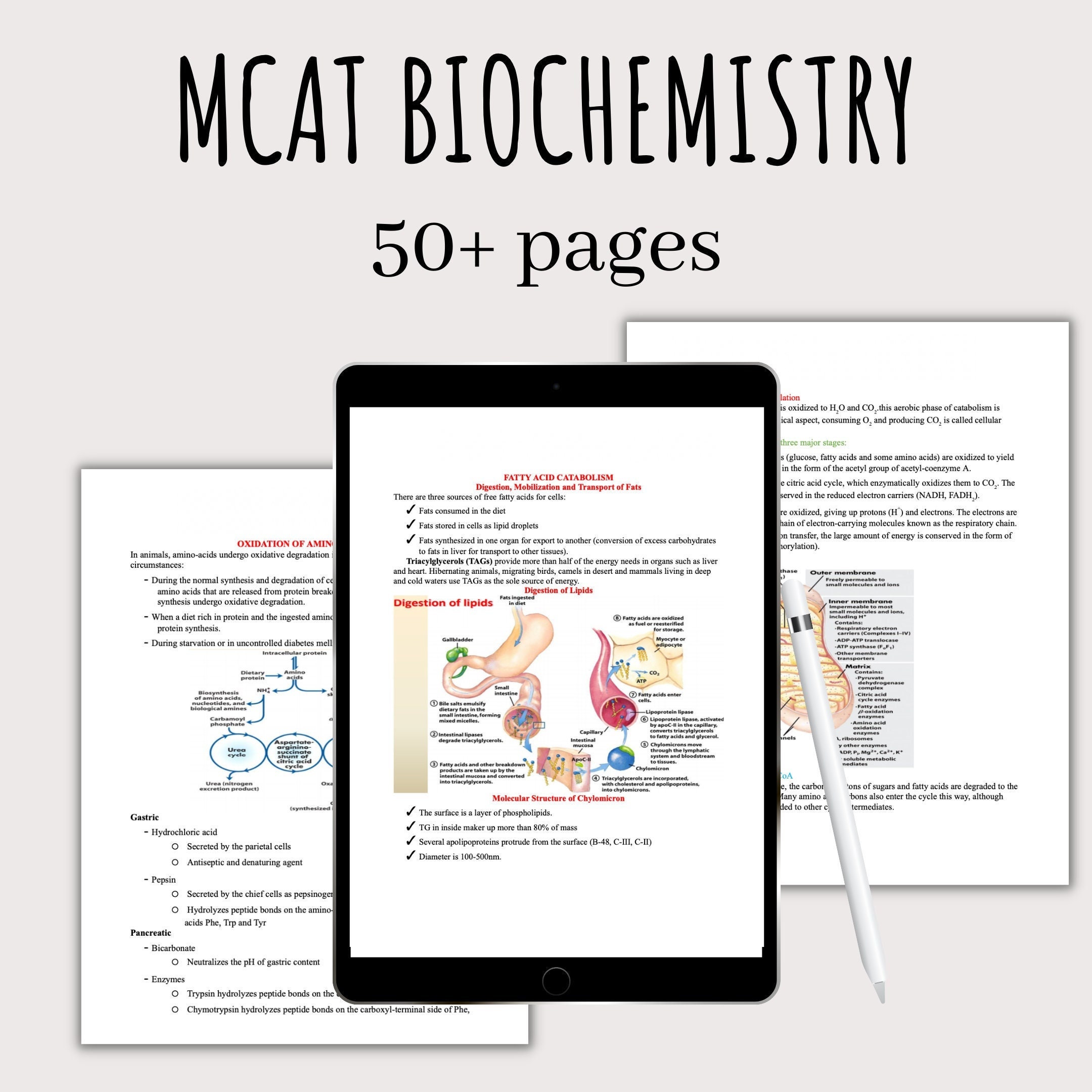 Mcat Notes for sale | Only 4 left at -70% Mcat Notes for sale | Only 4 left at -70%