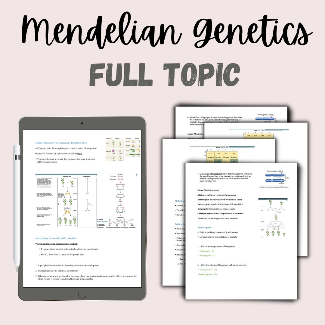 Mendelian Genetics FULL TOPIC - Etsy