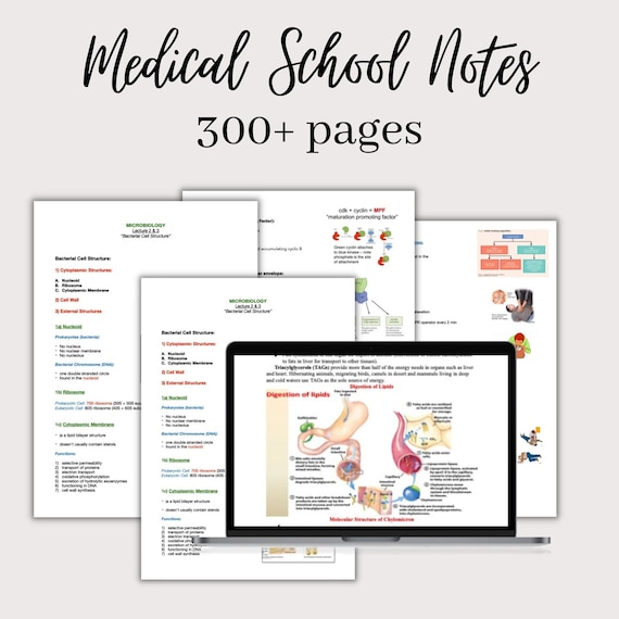 Medical School Notes Years 1&2 - Etsy