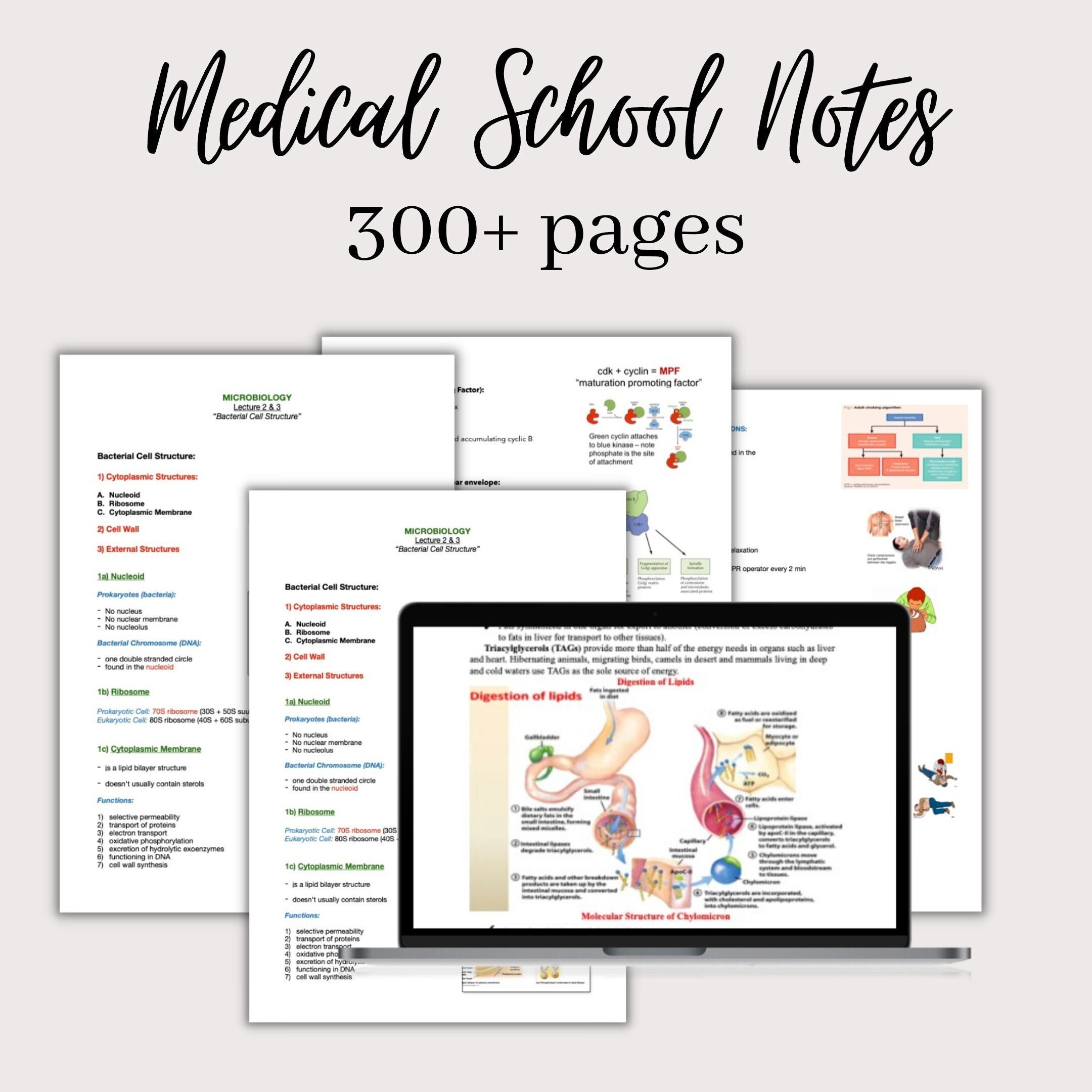 Medical School Notes Years 1&2 - Etsy
