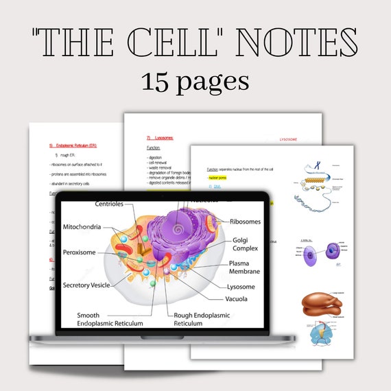THE CELL Study Notes | Etsy